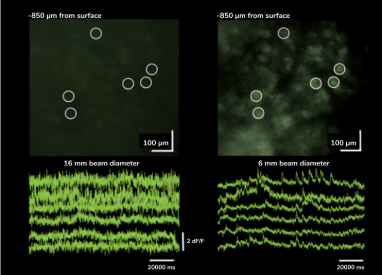 Femtonics - Products - Femtonics